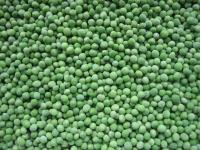 China Wholesale IQF Peas Premium Quality Frozen Green Peas 10kg Frozen Green Peas for sale