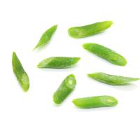 China China Factory Sale Directly Frozen Vegetable IQF Frozen Green Beans Cut OEM or ODM Design for sale