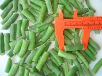 China China Factory Sale Directly Frozen Vegetable IQF Frozen Green Beans Cut OEM or ODM Design for sale