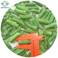 China China Factory Sale Directly Frozen Vegetable IQF Frozen Green Beans Cut OEM or ODM Design for sale