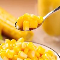 China High Quality Competitive Price Frozen Corn Sweetcorn Kernels Organic Non-GMO Bulk Packing for sale
