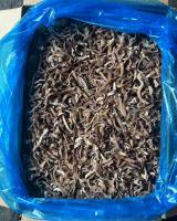 China Sinocharm New Season BRC a Certified W 4-6mm Fresh Frozen Mushrooms IQF Black Fungus Strips for sale