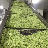 China Wholesale IQF Frozen Kiwi Fruit Diced Frozen Kiwi Whole Sliced Sweet Taste Frozen Kiwi for sale