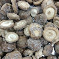 China Sinocharm Wholesale Price Premium Frozen Mushroom High Quality 1/4 Cut IQF Frozen Shiitake with BRC a From China for sale