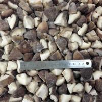 China Sinocharm Wholesale Price Premium Frozen Mushroom High Quality 1/4 Cut IQF Frozen Shiitake with BRC a From China for sale