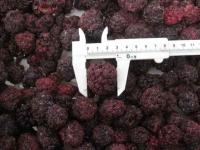 China High Brix Berries Fruits IQF Frozen Blackberry for Juice Jam Topping for sale