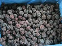 China High Brix Berries Fruits IQF Frozen Blackberry for Juice Jam Topping for sale