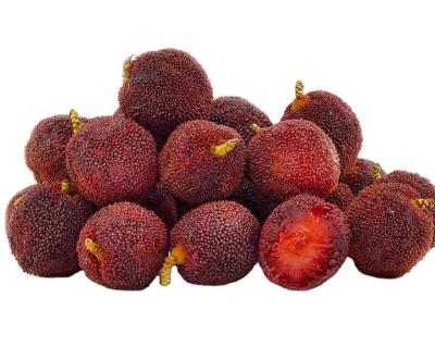 China Frozen Fruits IQF Red Round Yangmei Bayberry Factory Price Bulk Frozen Waxberry for sale
