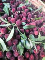 China Frozen Fruits IQF Red Round Yangmei Bayberry Factory Price Bulk Frozen Waxberry for sale