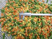 China IQF Four Frozen Vegetables Green Pea&sweet Corn Kernels&carrot&green Bean for sale