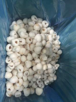 China 2025 NEW CROP High Quality IQF ​Lychee for sale