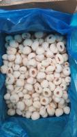 China 2025 NEW CROP High Quality IQF ​Lychee for sale