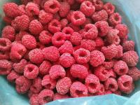 China High Standard IQF Frozen Whole Raspberry for sale