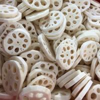 China New Crop Frozen Lotus Root Slices or Cut at Good Price for sale
