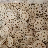 China New Crop Frozen Lotus Root Slices or Cut at Good Price for sale