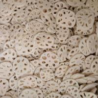 China New Crop Frozen Lotus Root Slices or Cut at Good Price for sale