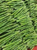 China Get the Best Frozen Vegetable for Your Business Needs Green Asparagus for sale