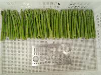 China Get the Best Frozen Vegetable for Your Business Needs Green Asparagus for sale