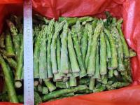 China Get the Best Frozen Vegetable for Your Business Needs Green Asparagus for sale