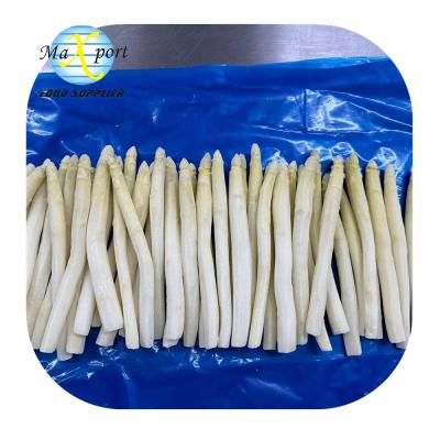 China Wholesale IQF Vegetable IQF Frozen White Asparagus Spear From China for sale