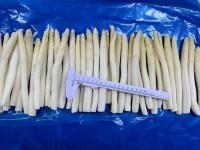 China Wholesale IQF Vegetable IQF Frozen White Asparagus Spear From China for sale
