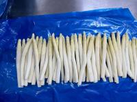 China Wholesale IQF Vegetable IQF Frozen White Asparagus Spear From China for sale