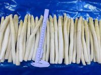 China Wholesale IQF Vegetable IQF Frozen White Asparagus Spear From China for sale
