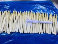 China Wholesale IQF Vegetable IQF Frozen White Asparagus Spear From China for sale