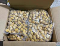 China Good Taste Iqf Frozen Peeled Chestnut in Small Package Chinese Supplier Frozen Chestnut for sale