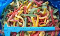 China China Supplier IQF Processing Frozen Red Sweet Pepper Dices in Bulk Frozen Vegetables for sale