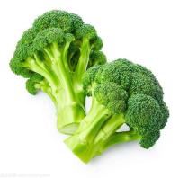 China High Quality IQF Factory Frozen Vegetables Wholesale Price Frozen Broccoli for sale