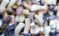 China Frozen Mushrooms IQF BOLETUS EDULIS Grade A  24 Months Shelf Life ISO HACCP BRC KOSHER HALAL Certified 10 tons MOQ for sale