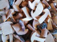 China Frozen Mushrooms IQF BOLETUS EDULIS Grade A  24 Months Shelf Life ISO HACCP BRC KOSHER HALAL Certified 10 tons MOQ for sale