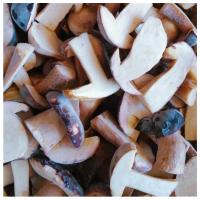China Frozen Mushrooms IQF BOLETUS EDULIS Grade A  24 Months Shelf Life ISO HACCP BRC KOSHER HALAL Certified 10 tons MOQ for sale