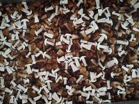 China Frozen Mushrooms IQF BOLETUS EDULIS Grade A  24 Months Shelf Life ISO HACCP BRC KOSHER HALAL Certified 10 tons MOQ for sale