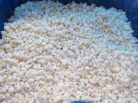 China Chinese Premium Cauliflower Faotory Price Cauliflower HACCP BRC Certificated Natural Taste Organic IQF Frozen Cauliflower for sale