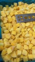China Delight Your Customers with Our Delicious Frozen Fruit Mango dices for sale