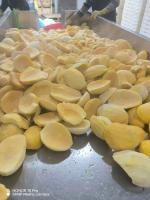 China Delight Your Customers with Our Delicious Frozen Fruit Mango dices for sale