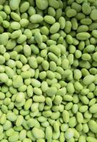China Find the Perfect Frozen Vegetable for Your and Affordable Edamame. for sale