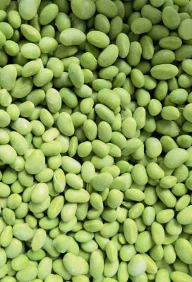 China Find the Perfect Frozen Vegetable for Your and Affordable Edamame. for sale