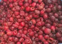 China Find the Best Frozen Fruit for Your Business and Affordable Solution Sweetcherry for sale
