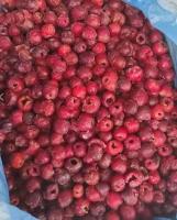 China Find the Best Frozen Fruit for Your Business and Affordable Solution Sweetcherry for sale