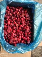 China Find the Best Frozen Fruit for Your Business and Affordable Solution Sweetcherry for sale