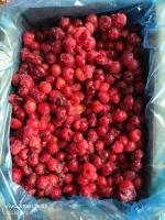 China Find the Best Frozen Fruit for Your Business and Affordable Solution Sweetcherry for sale