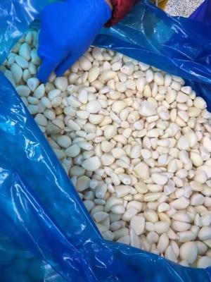 China Get the Best Frozen Vegetable Frozen IQF Peeled Garlic Cloves Dices and Puree at Competitive Prices for sale
