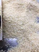 China Get the Best Frozen Vegetable Frozen IQF Peeled Garlic Cloves Dices and Puree at Competitive Prices for sale