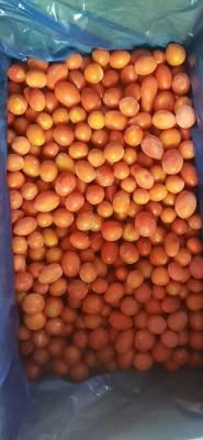 China Discover the Benefits of Frozen Fruit for Your Business Needs Tomato Dices for sale