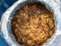 China Delicious Frozen Mushrooms Perfect for Your Business Needs Nameko in Brine for sale