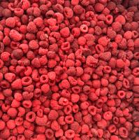China High Quality IQF Frozen Whole Raspberries in Bulk Carton Packed for sale