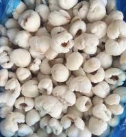 China Frozen Whole Peeled Lychee in Bulk Carton Packaging IQF Sweet Tasted Lichee Fruit with Mango Variety of Preserved Fruits for sale